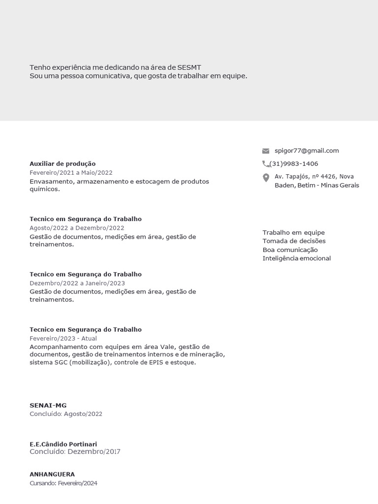 Currículo Igor Thadeu 2024 | PDF