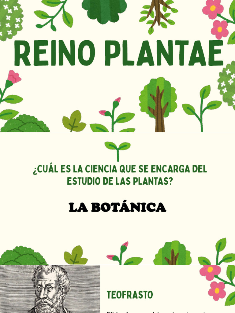 REINO PLANTAE - PPT | PDF