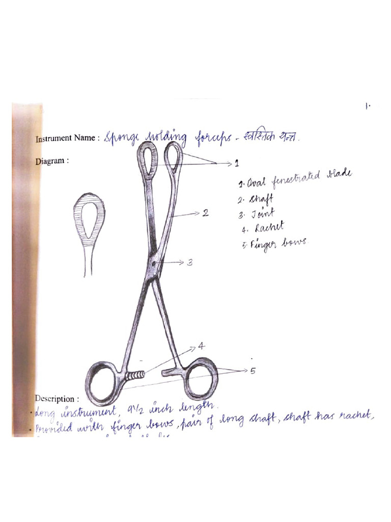 Surgical Instruments Diagrams and Uses | PDF