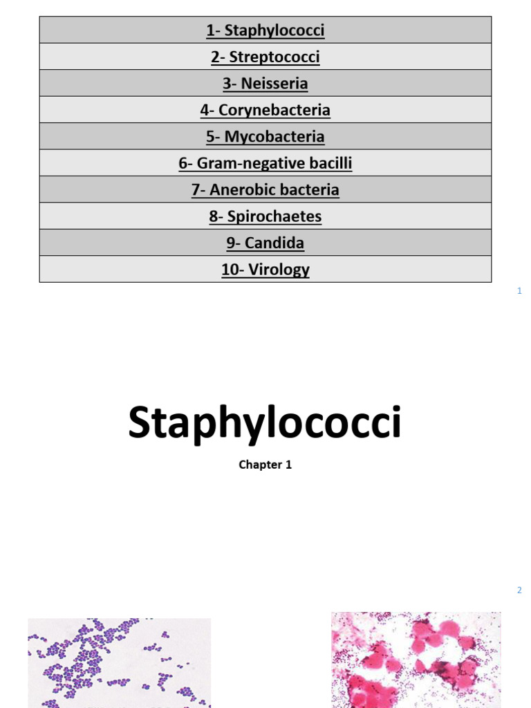 Microbiology for Final Practical | PDF | Staphylococcus | Elisa