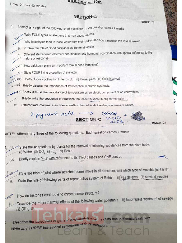 Class 10 KPK Board Papers 2024 | PDF
