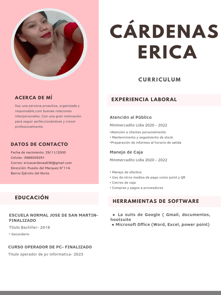 Perfil Profesional de Erica Cárdenas | PDF