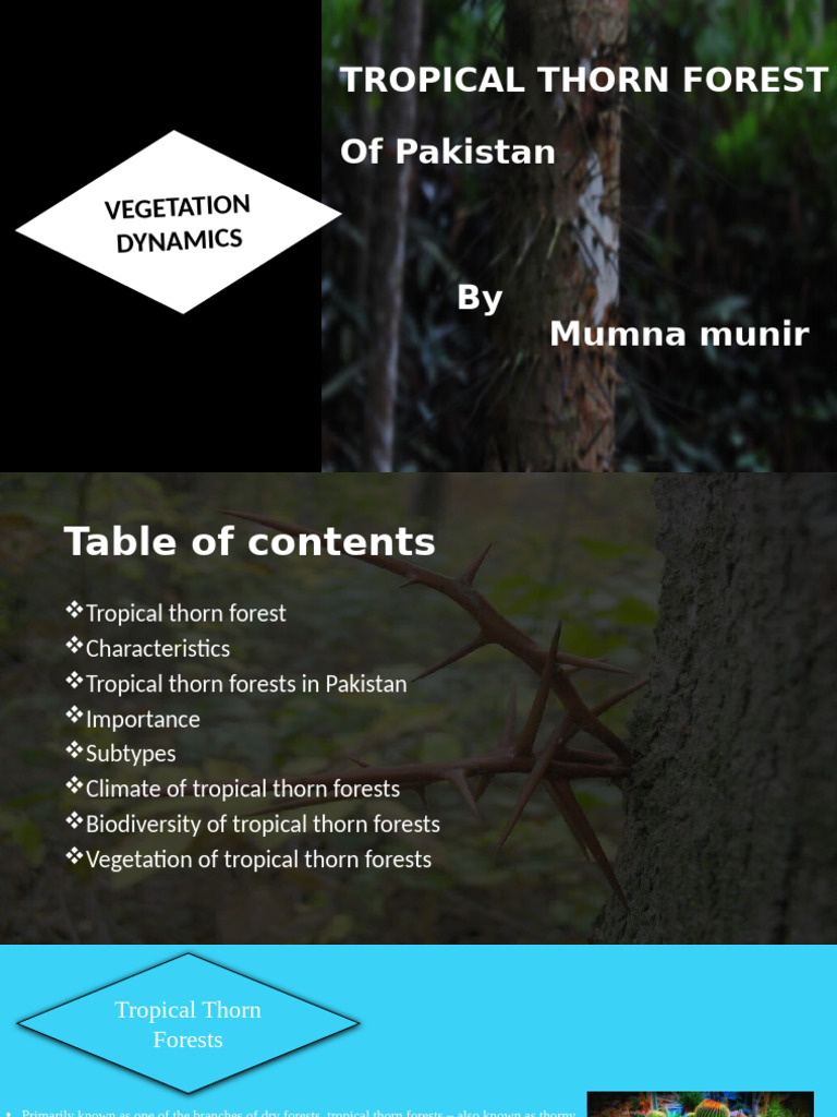 TROPICAL THORN FORESTS (Autosaved) (Autosaved) | PDF | Forests | Tropics