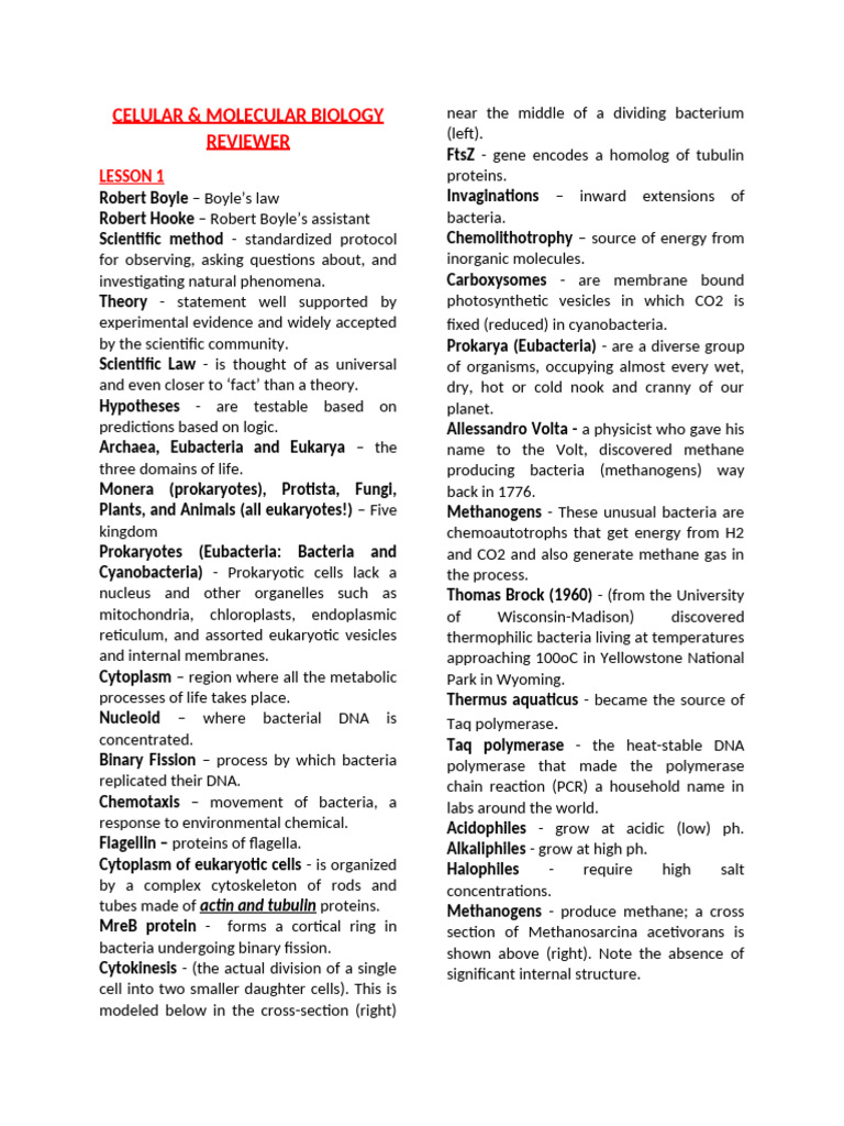 Cell and Molecular Biology Overview | PDF | Glycolysis | Enzyme