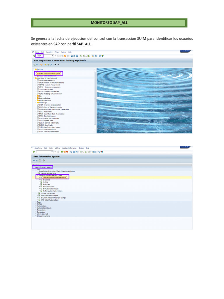 Monitoreo de Usuarios con SAP_ALL | PDF