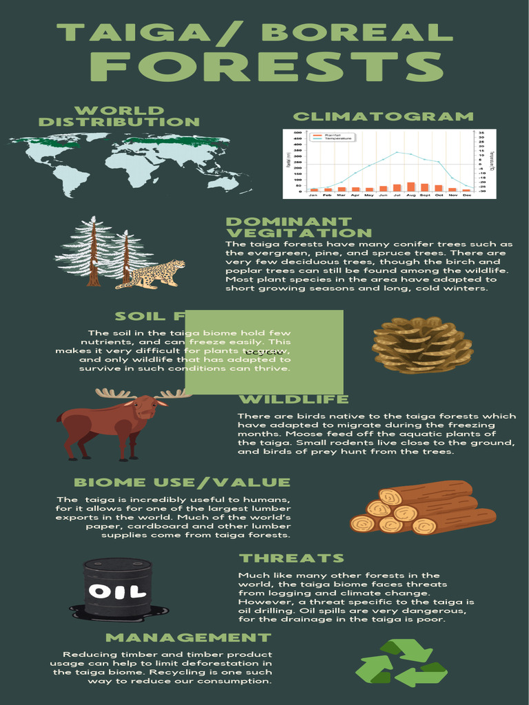 Taiga Boreal | PDF