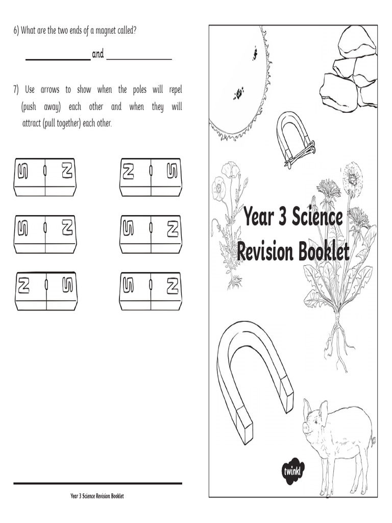 Year 3 Question Booklet | PDF