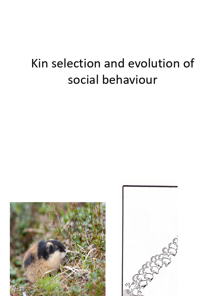 Kin Selection and Evolution of Social Behaviour | PDF | Cooperation ...