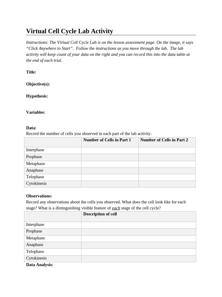 03 01 Virtual Cell Cycle Lab Report Template | PDF