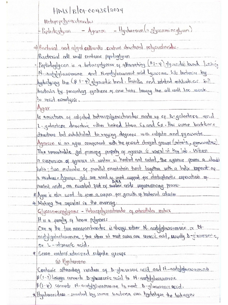 BIOCHEMISTRY ASSIGNMENT | PDF