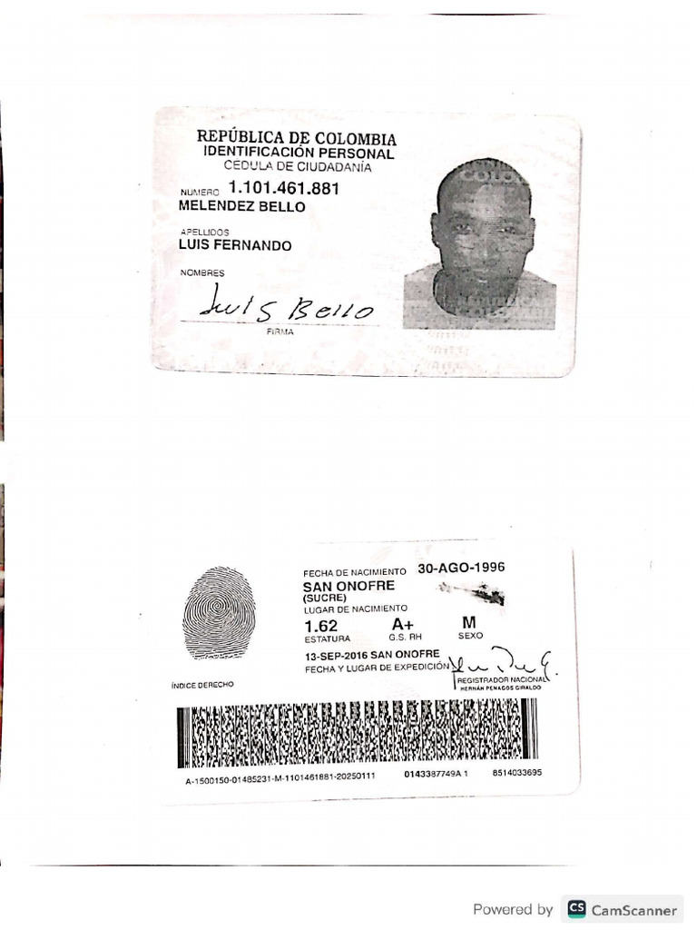 Documentos-Luis Melendez | PDF