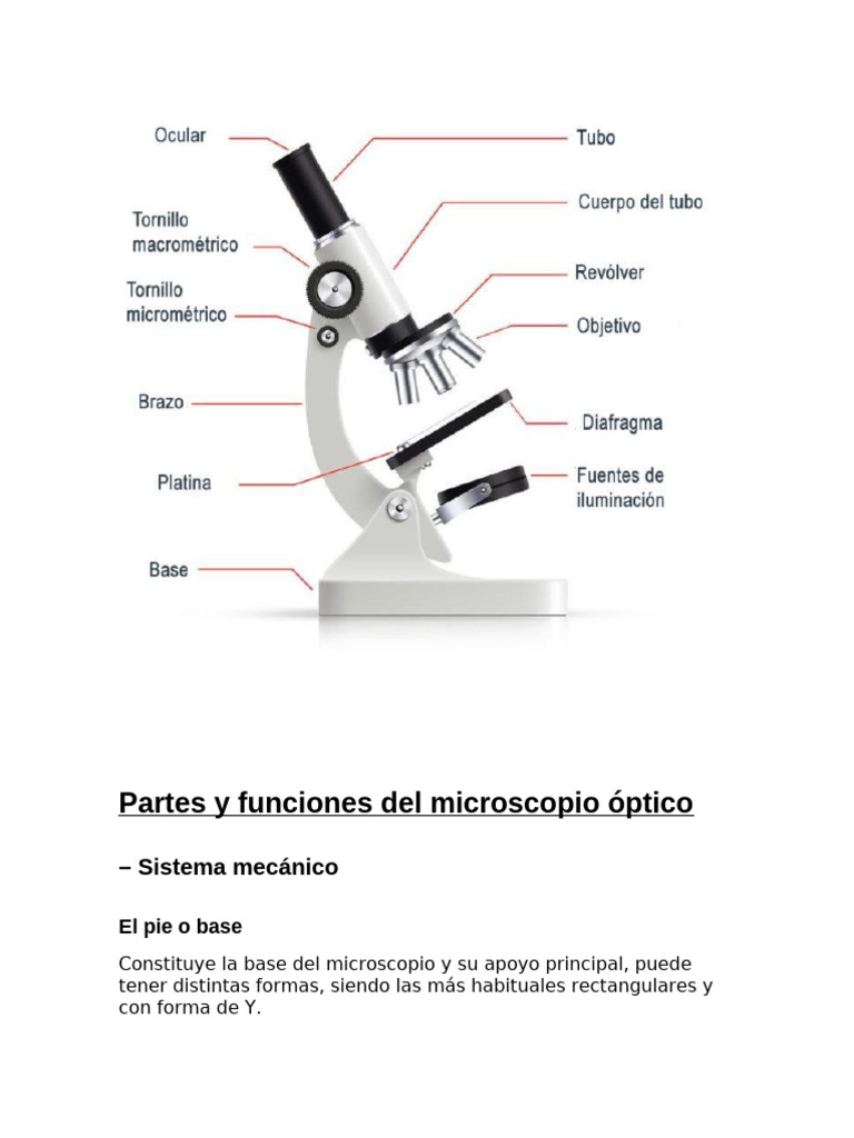 Partes y Funciones Del Microscopio Óptico | PDF | Espectro ...