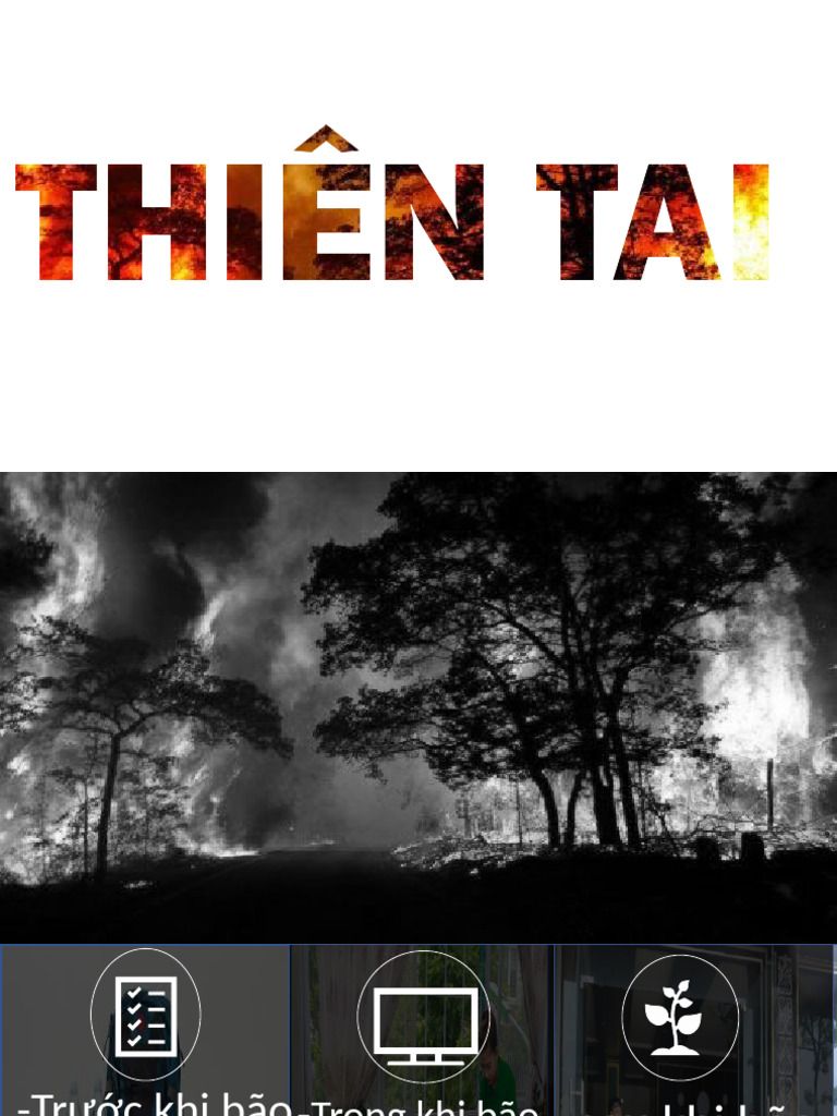 Presentation 3 | PDF