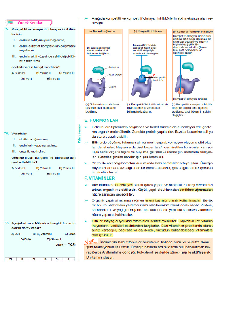 CANLILARIN TEMEL BİLEŞENLERİ 6 (VİTAMİN-ATP) (2) | PDF