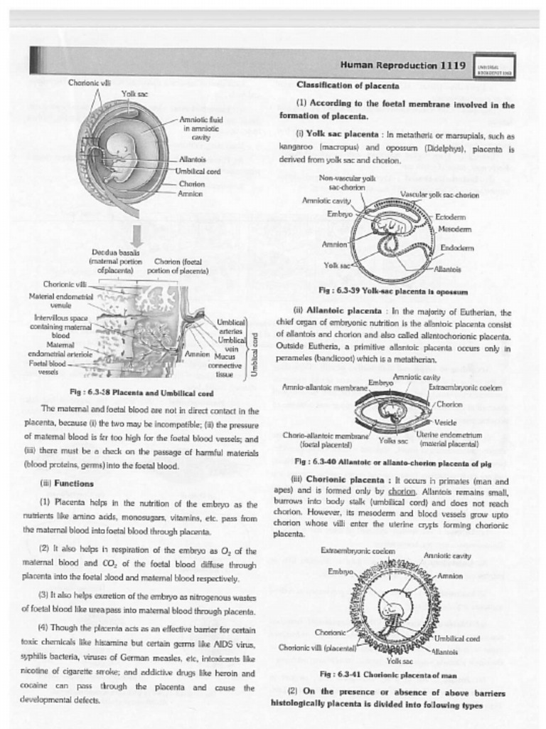 ERRORLESS_BIOLOGY_PART_2-71 | PDF