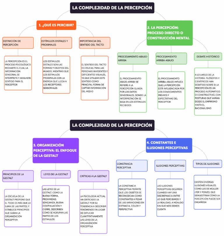 La Complejidad de La Percepción | PDF