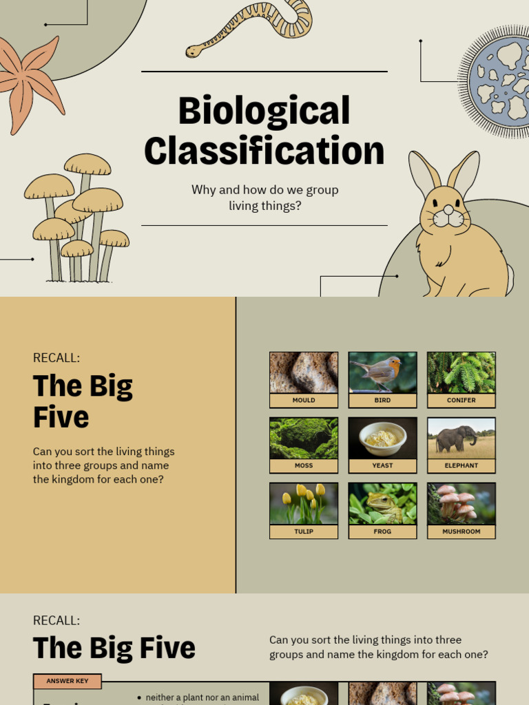 Biological Classification | PDF | Life | Mammals