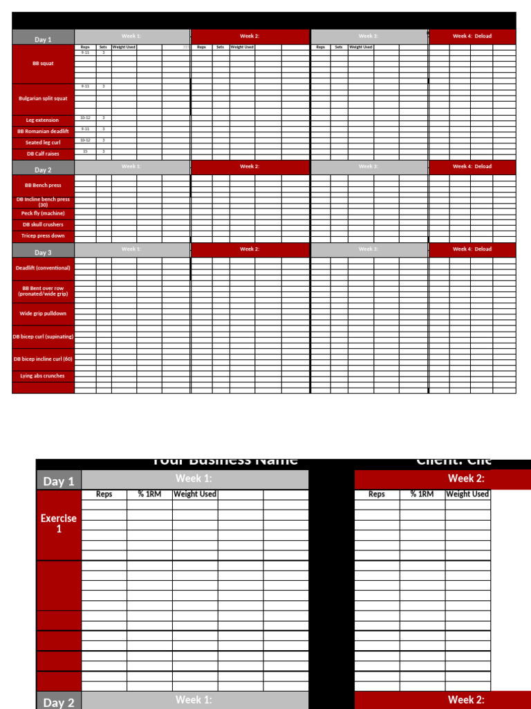 Copy of gAscndahTwCkaBuFYfo3 - Excel - Program - Template - Basic | PDF