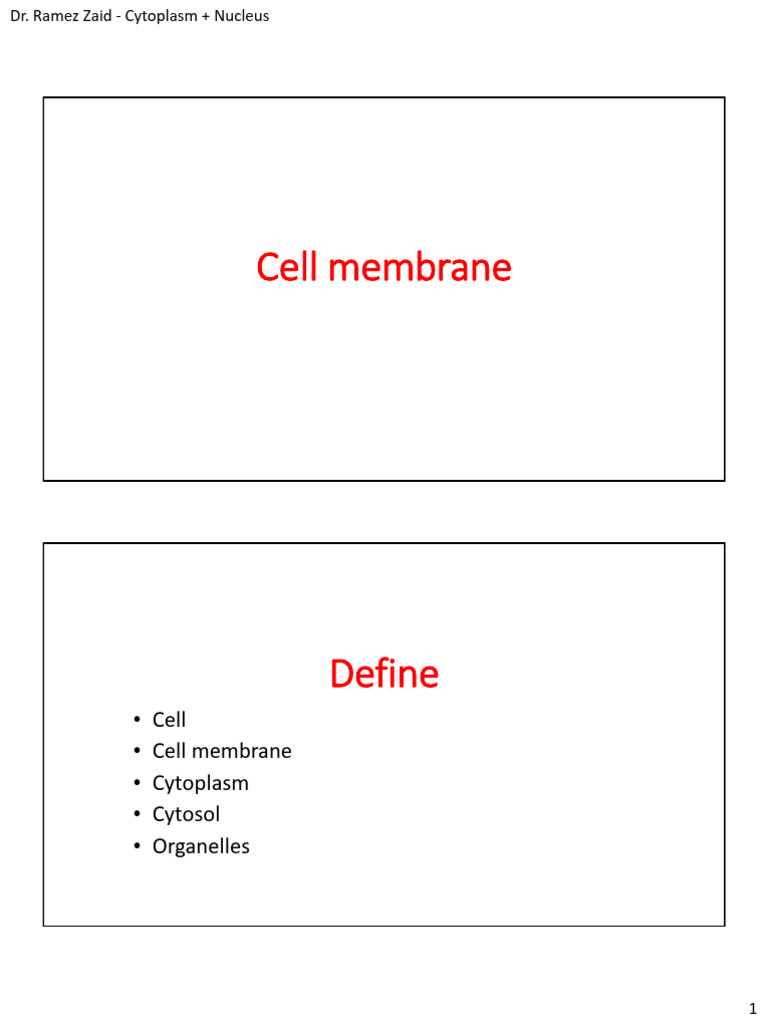 Cell Membrane + Cytoplasm + Nucleus - Handout | PDF