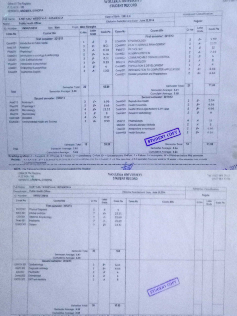 1st 2nd and 3rd Year Student | PDF