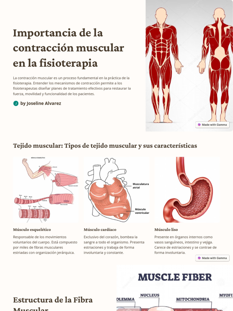 Contracción Muscular en Fisioterapia | PDF | Músculo | Contracción muscular