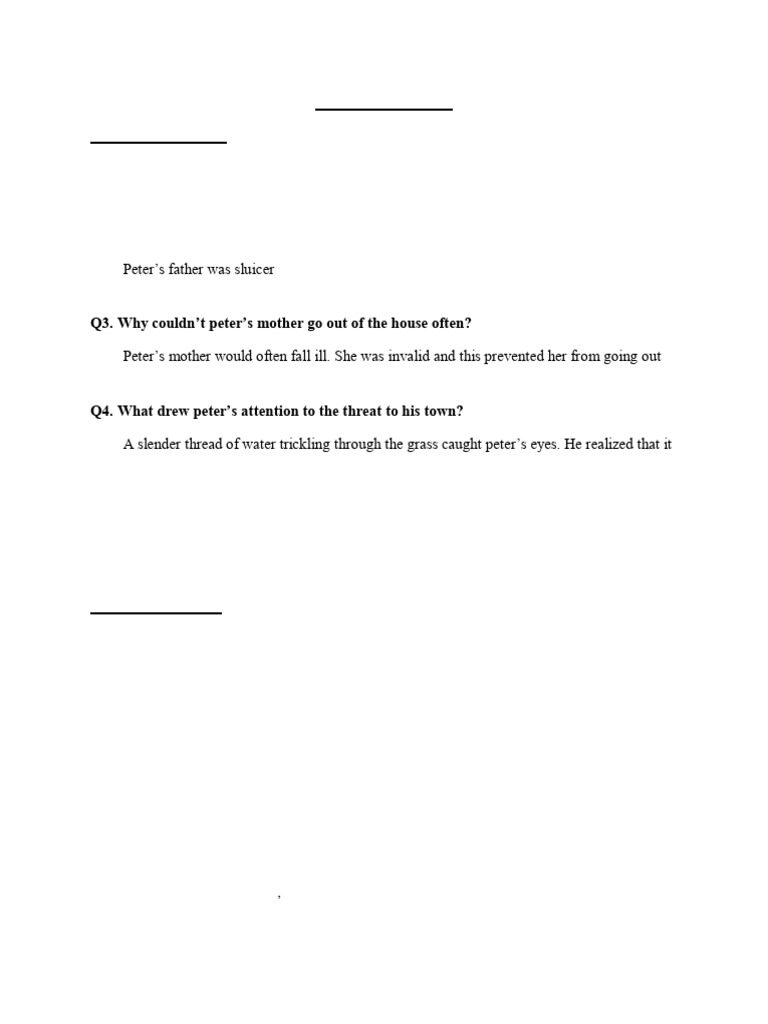 Peter of Haarlem: Questions & Answers | PDF