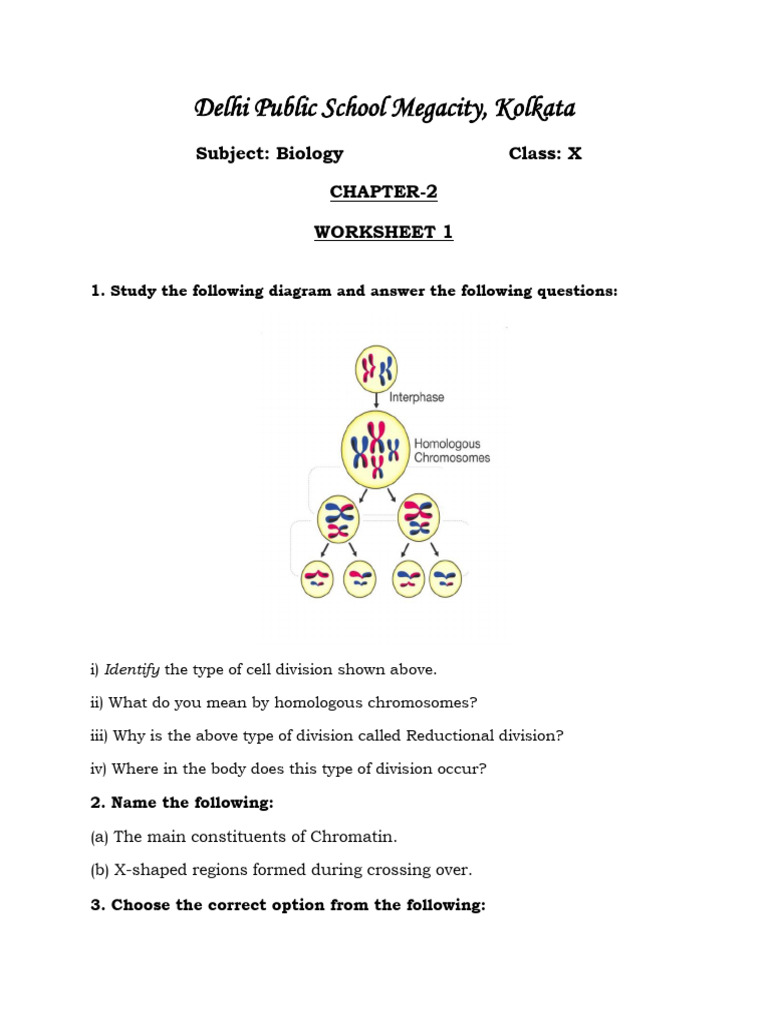 Biology Worksheet for Class X - Cell Division | PDF