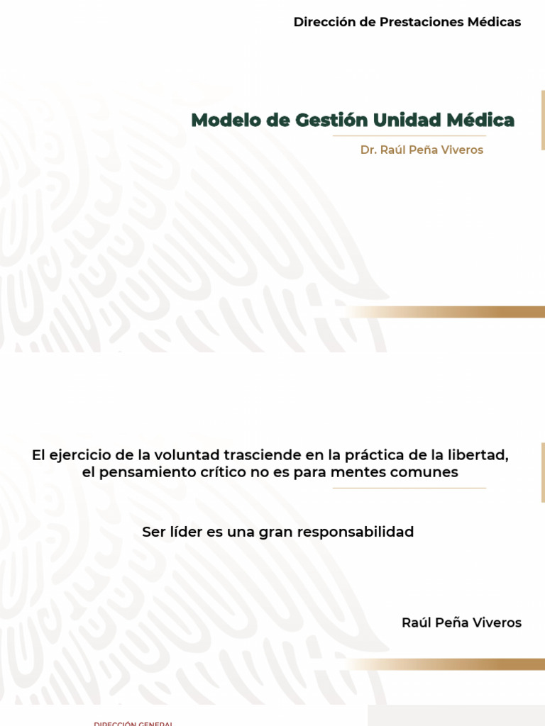 Modelo de Gestión DPM 2019 | PDF | Planificación | Cuidado de la salud