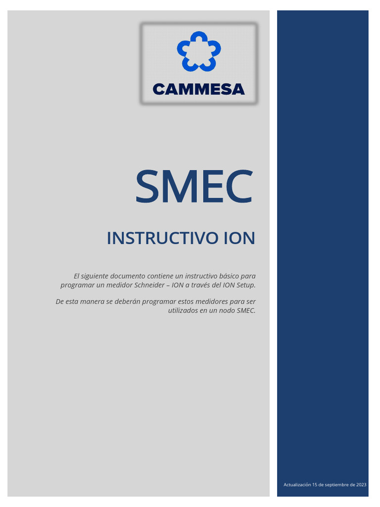 ION - Instructivo Lectura y Programación Resumen | PDF | Protocolos de internet | Contraseña