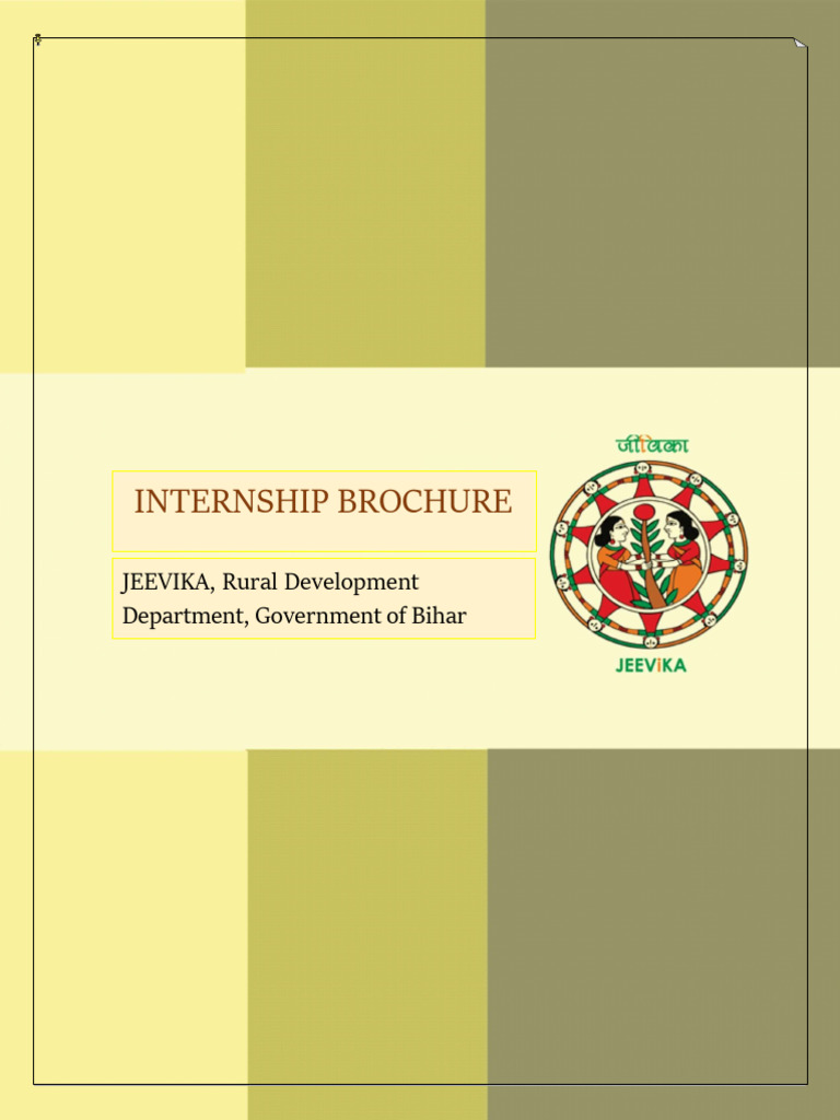Internship Brochure Brlps | PDF | Millennium Development Goals | Poverty