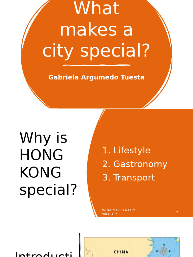 WHAT MAKES A CITY SPECIAL | PDF