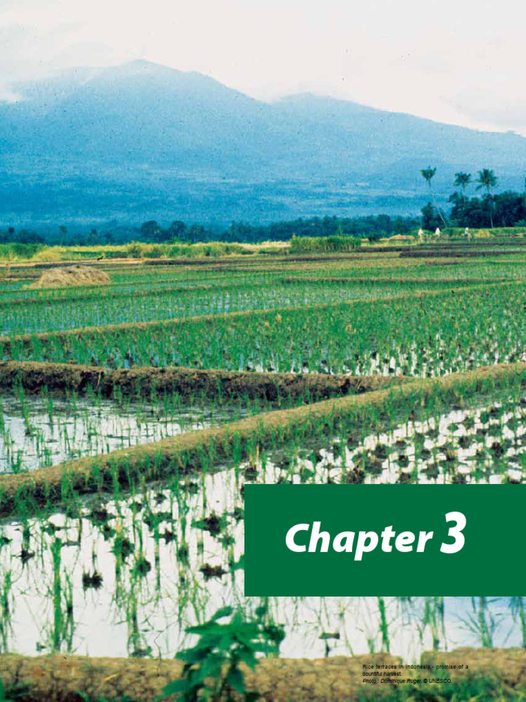 Chapters 3 | PDF | Food Security | Agriculture