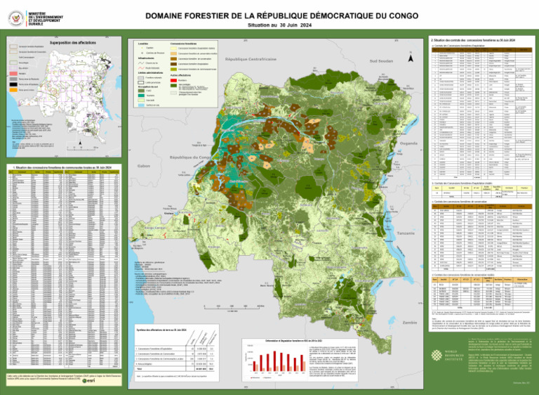 RDC_poster_2024[1] | PDF