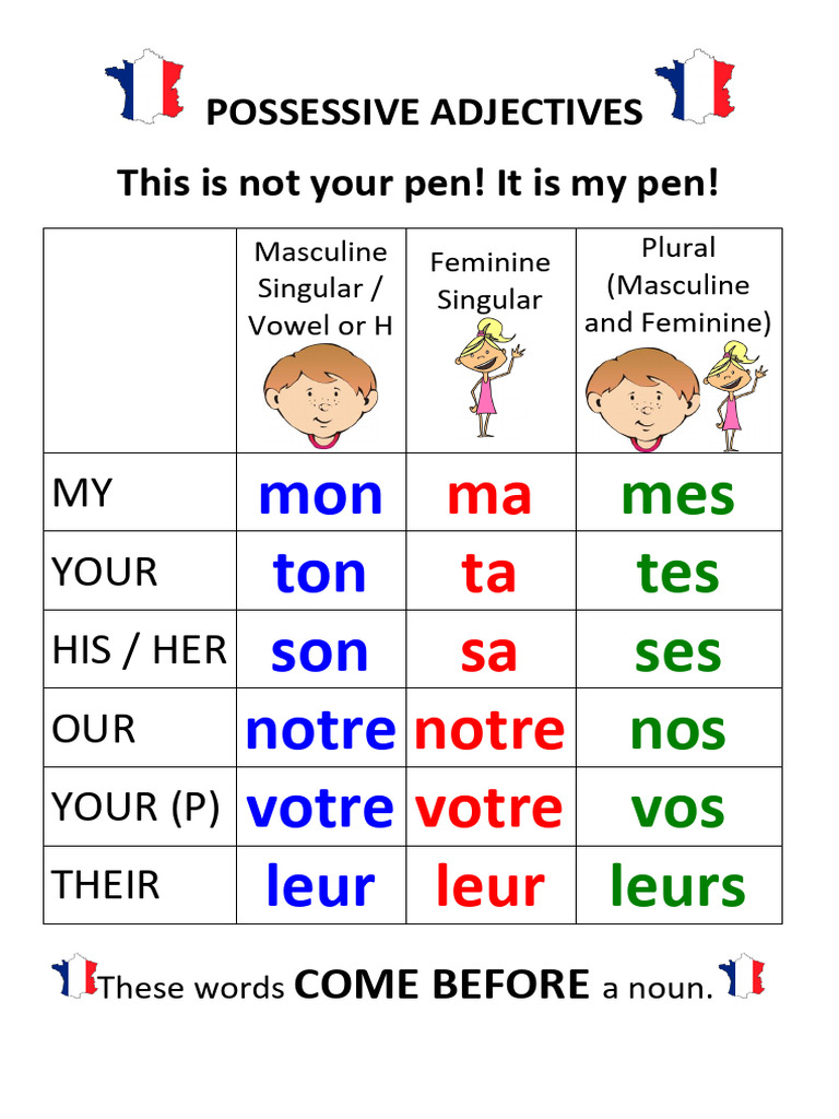 Possessive Adjectives Form 1 | PDF