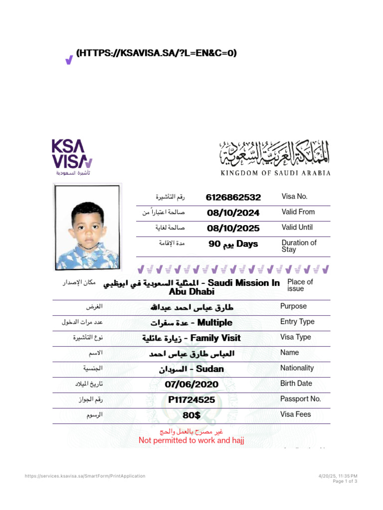 KSA Visa | PDF