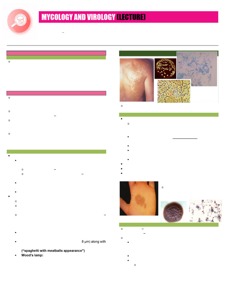 Mycv Lec Week 3 Superficial Subcutaneous Mycoses | PDF | Mycology | Fungus