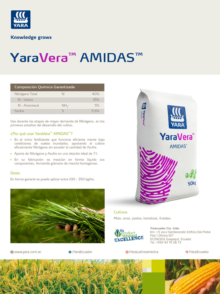Yaravera Amidas Ficha Tecnica | PDF