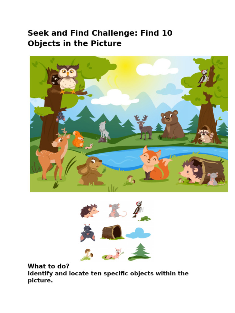 Seek and Find: 10 Hidden Objects | PDF