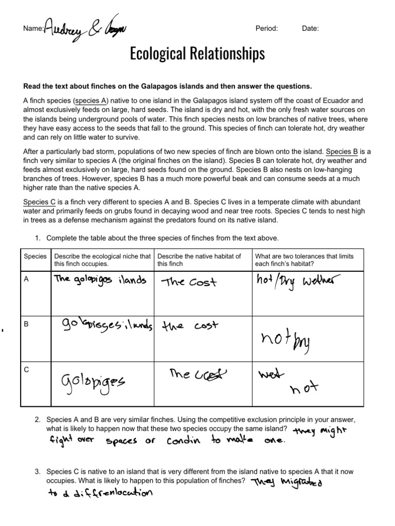Ecological Relationships Worksheet | PDF