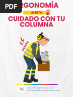 Guía de Higiene de Columna | PDF | La columna vertebral