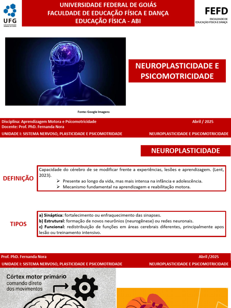 Neuroplasticidade e Psicomotricidade na Educação | PDF ...