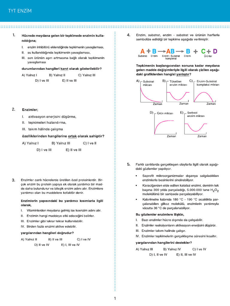 TYT 11 ENZYM PDF | PDF