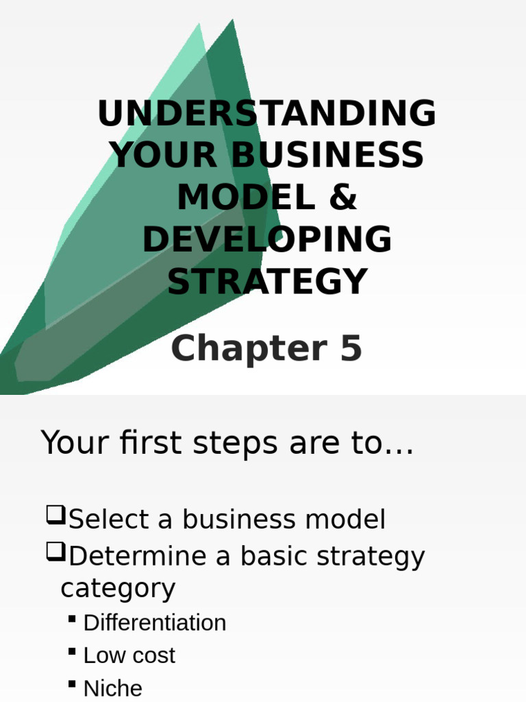 Business Model and Strategy Development | PDF | Franchising | Business