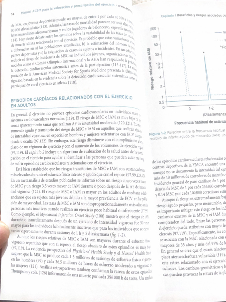 Documento Escaneado 4 | PDF