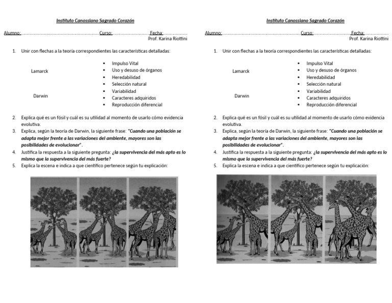 Ev, Darwin y Lamarck | PDF | Evolución | Seleccion natural