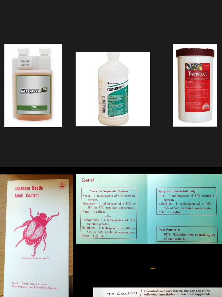 Insecticide Characteristics | PDF | Insecticide | Toxicology