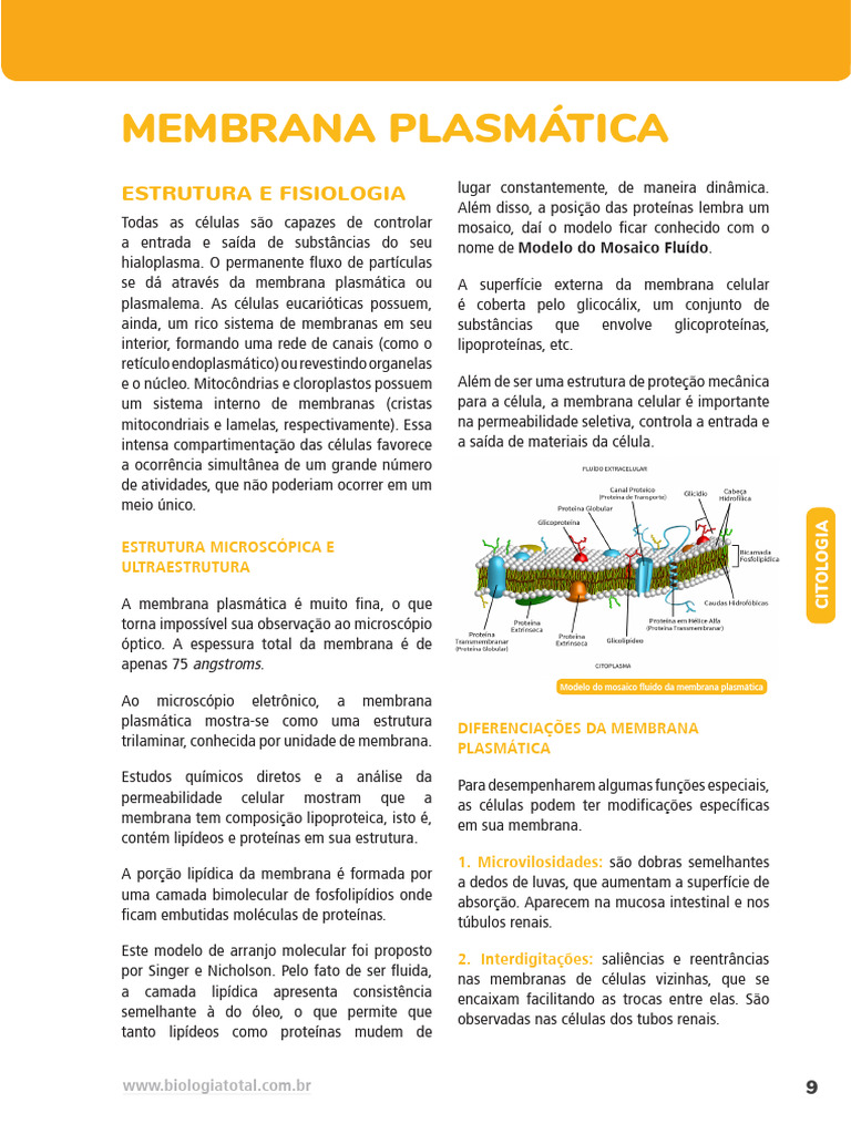 Estrutura e Funções da Membrana Plasmática | PDF | Osmose | Membrana ...