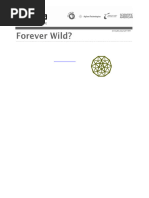 Triangle Geode Template | PDF