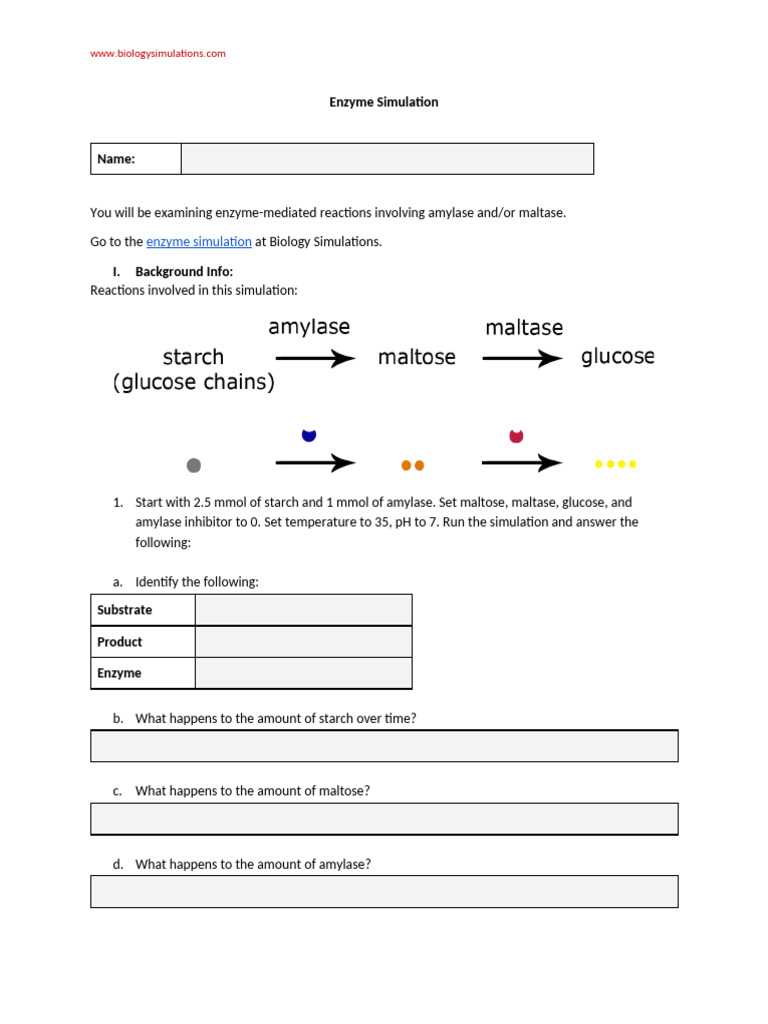 Enzyme Simulation - Inquiry | PDF
