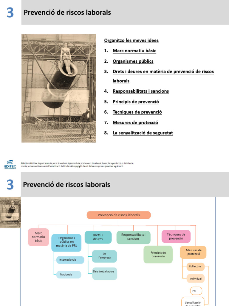 IPE (Prevenció de Riscos Laborals, Tema 3) | PDF